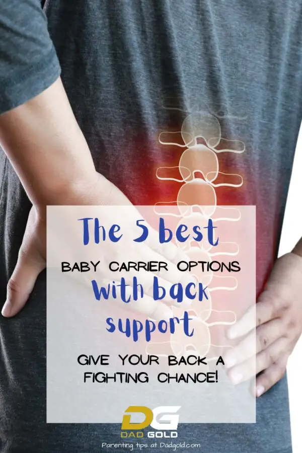 4 Best Back Support Baby Carrier Options - Dad Gold