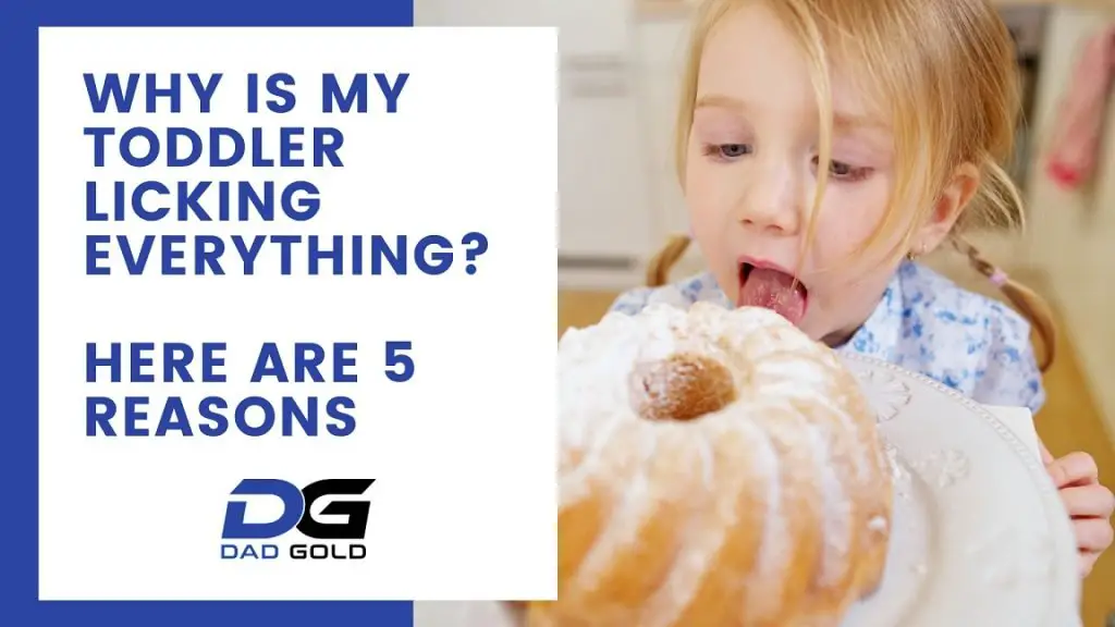 Why Is My Toddler Licking Everything 5 Reasons Dad Gold Why Is My Toddler Licking Everything 5 Reasons Dad Gold