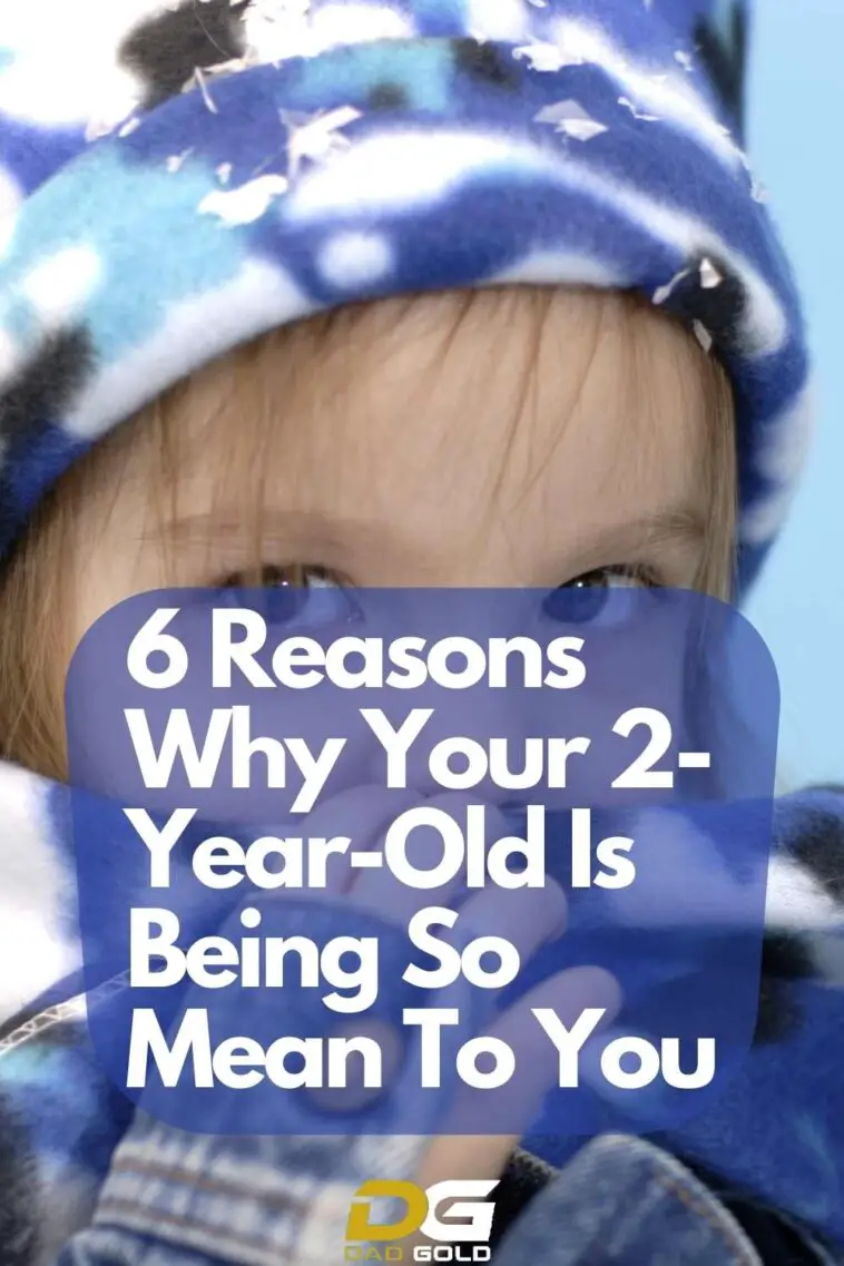 Why Is My 2 Year Old So Mean To Me Dad Gold